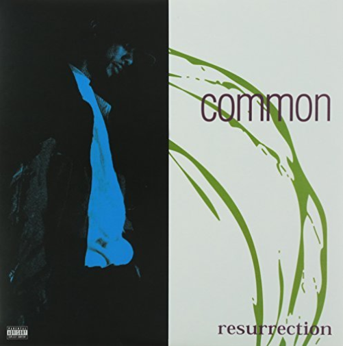 Vinyl Resurrection - Common | RUKAHORE SHOP