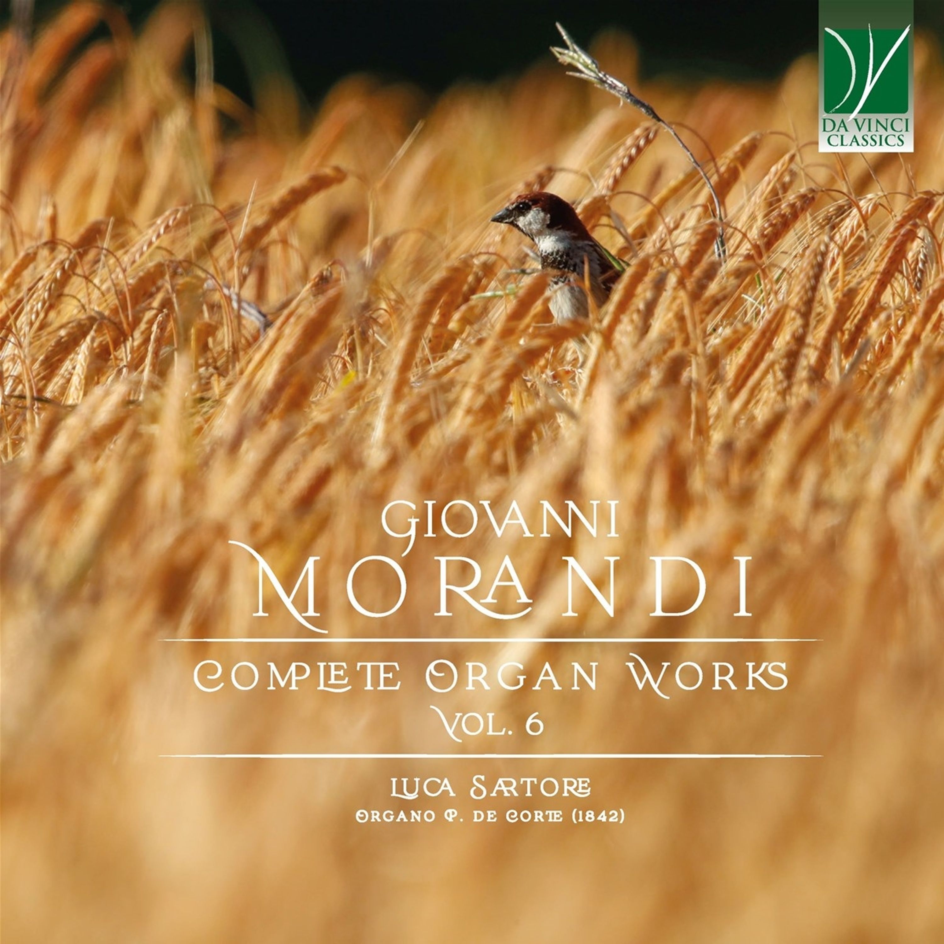 CD GIOVANNI MORANDI: COMPLETE ORGAN WORKS VOL. 6 - Luca Sartore ...